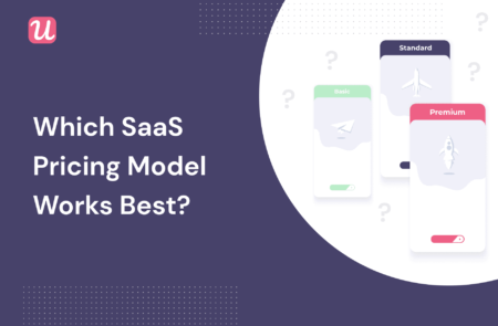 The In-Depth Guide to SaaS Pricing Models and Strategies [Examples ...